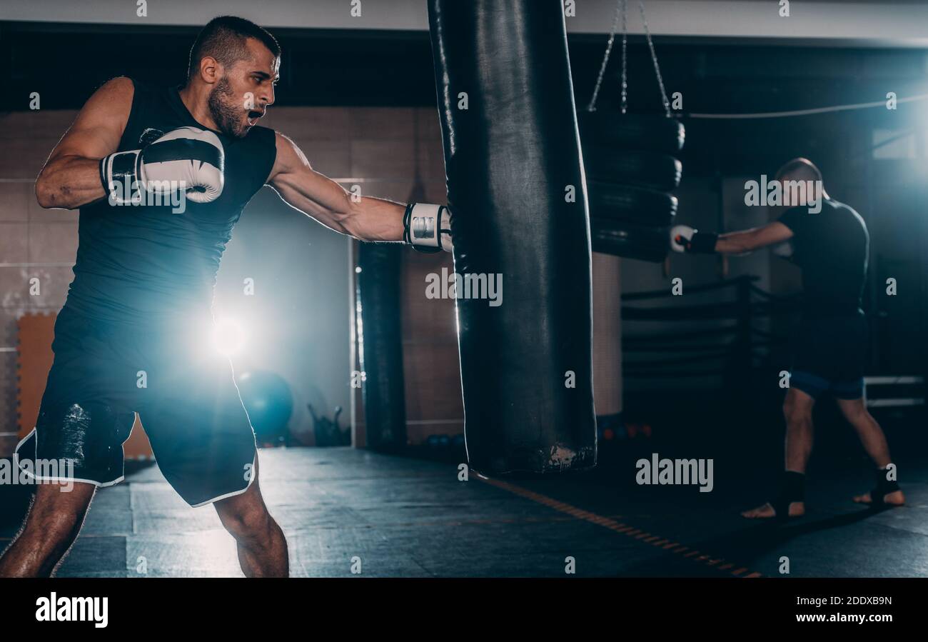 Male boxer as exercise for the big fight. Boxer hits punching bag ...