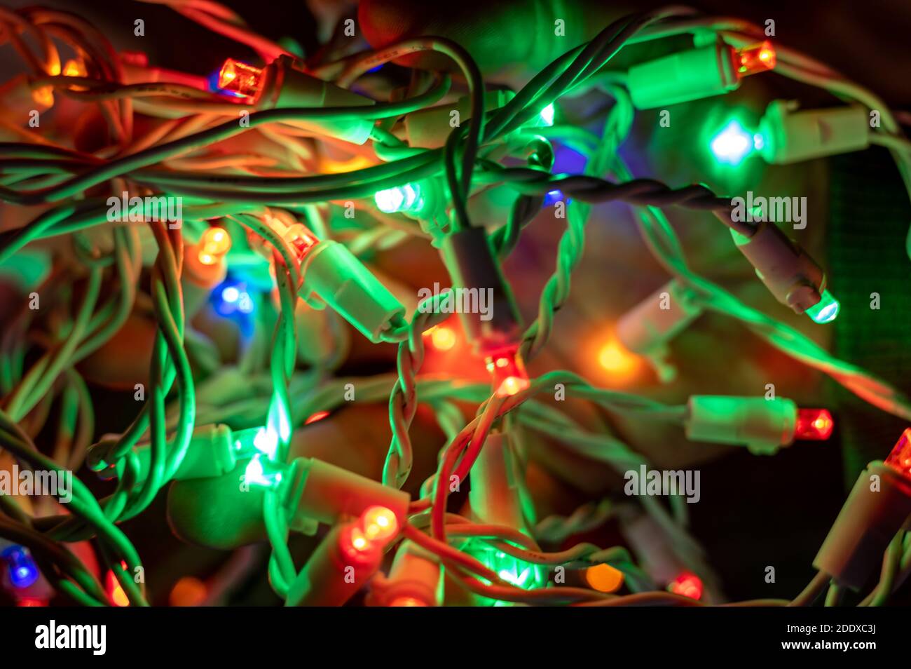 Christmas Hang The Lights Tangled