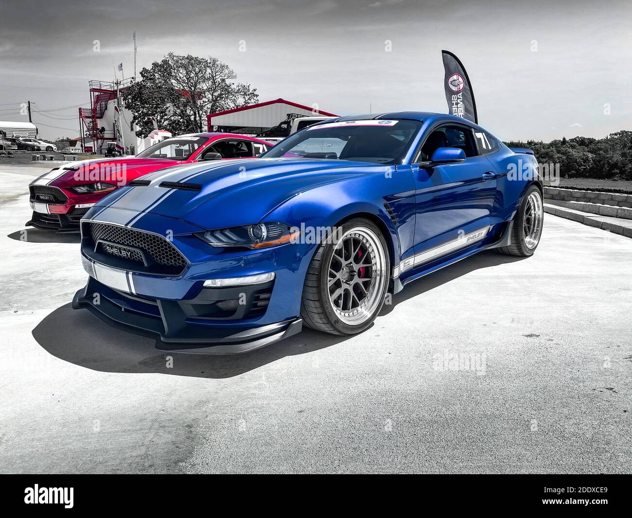Two Shelby Mustangs sitting beautifully at the race track Stock Photo ...
