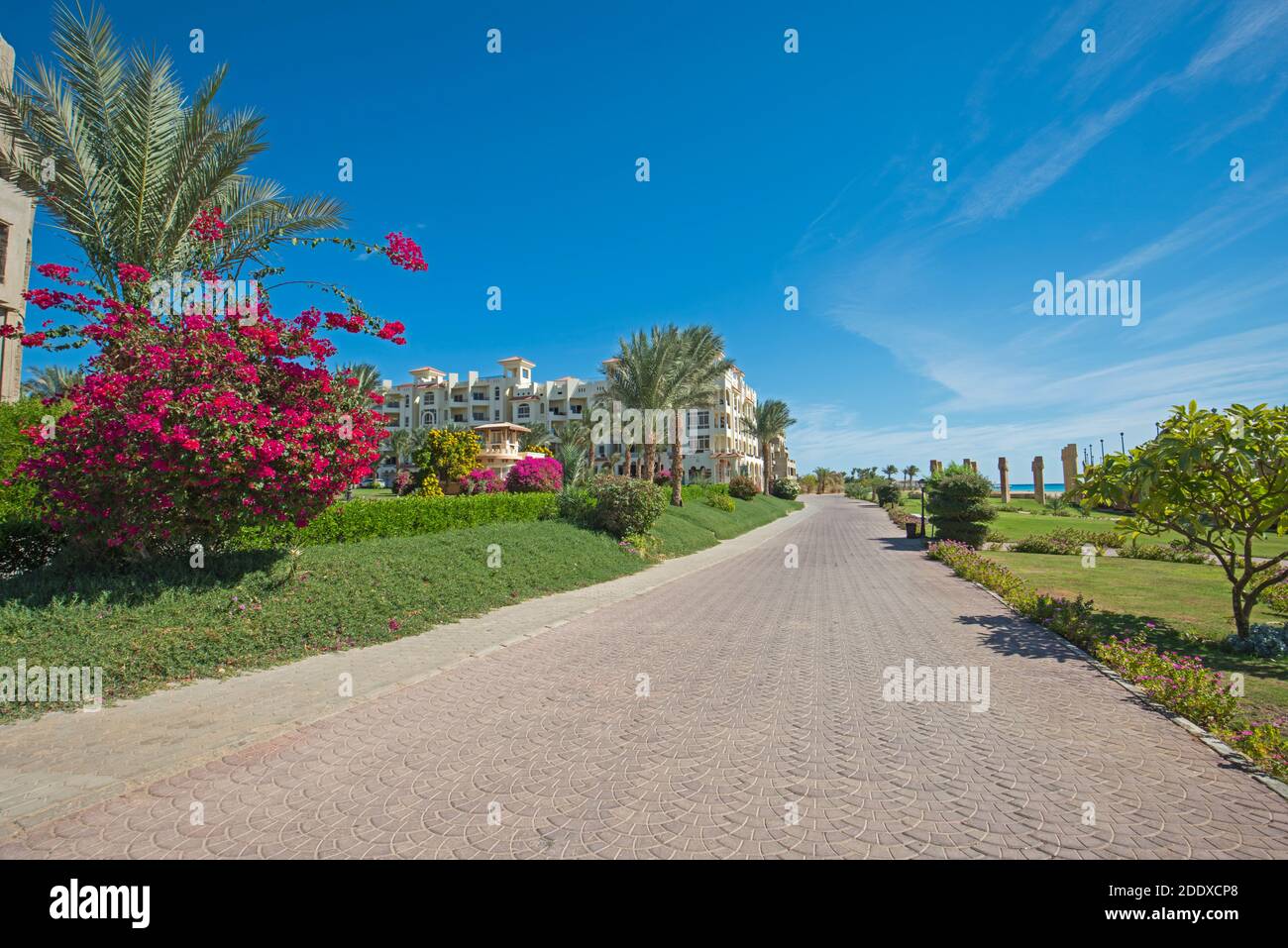 View along a footpath walkway through beautiful landscaped gardens in ...