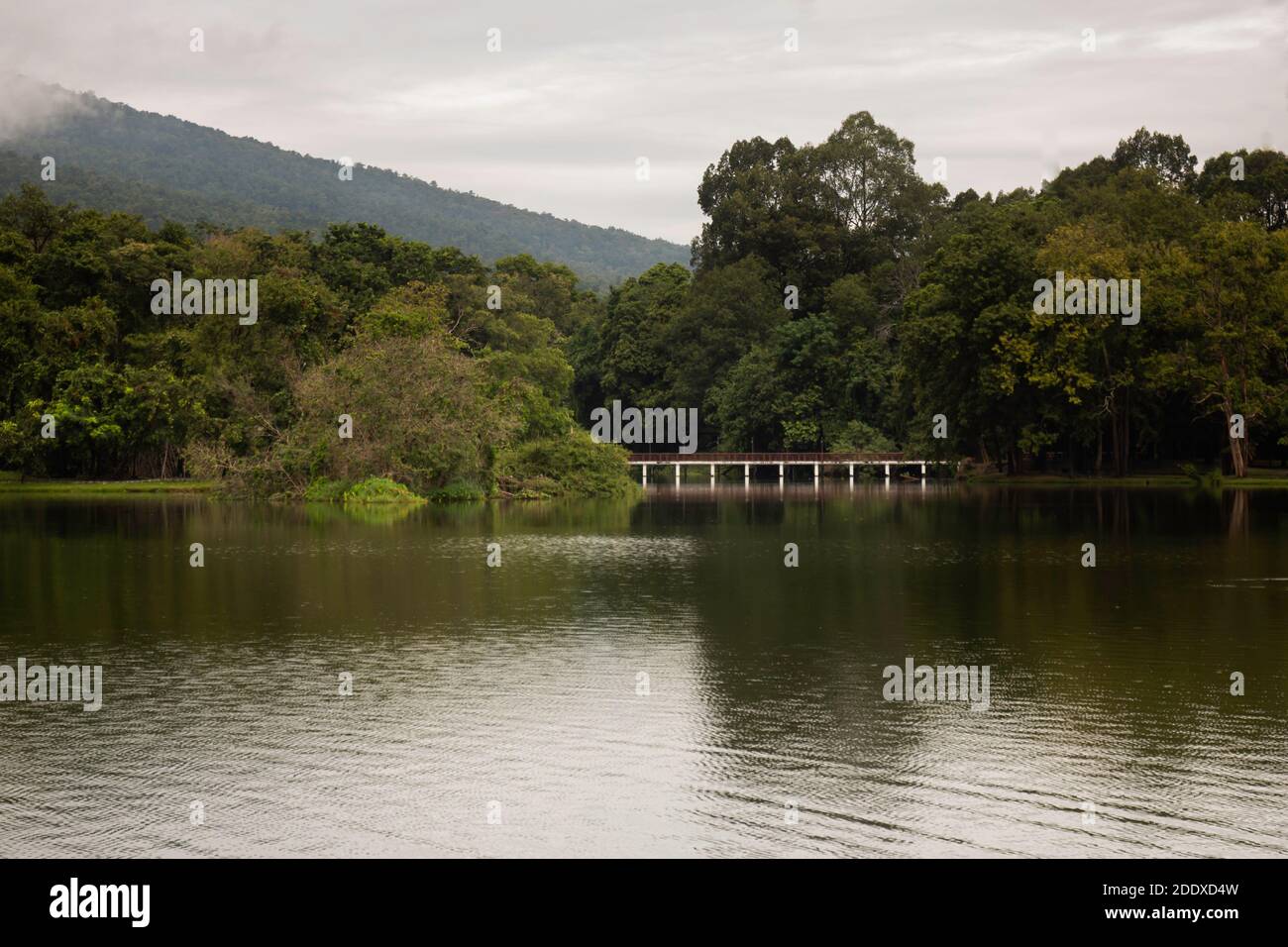 Lake view side relaxing in nature, stock photo Stock Photo - Alamy