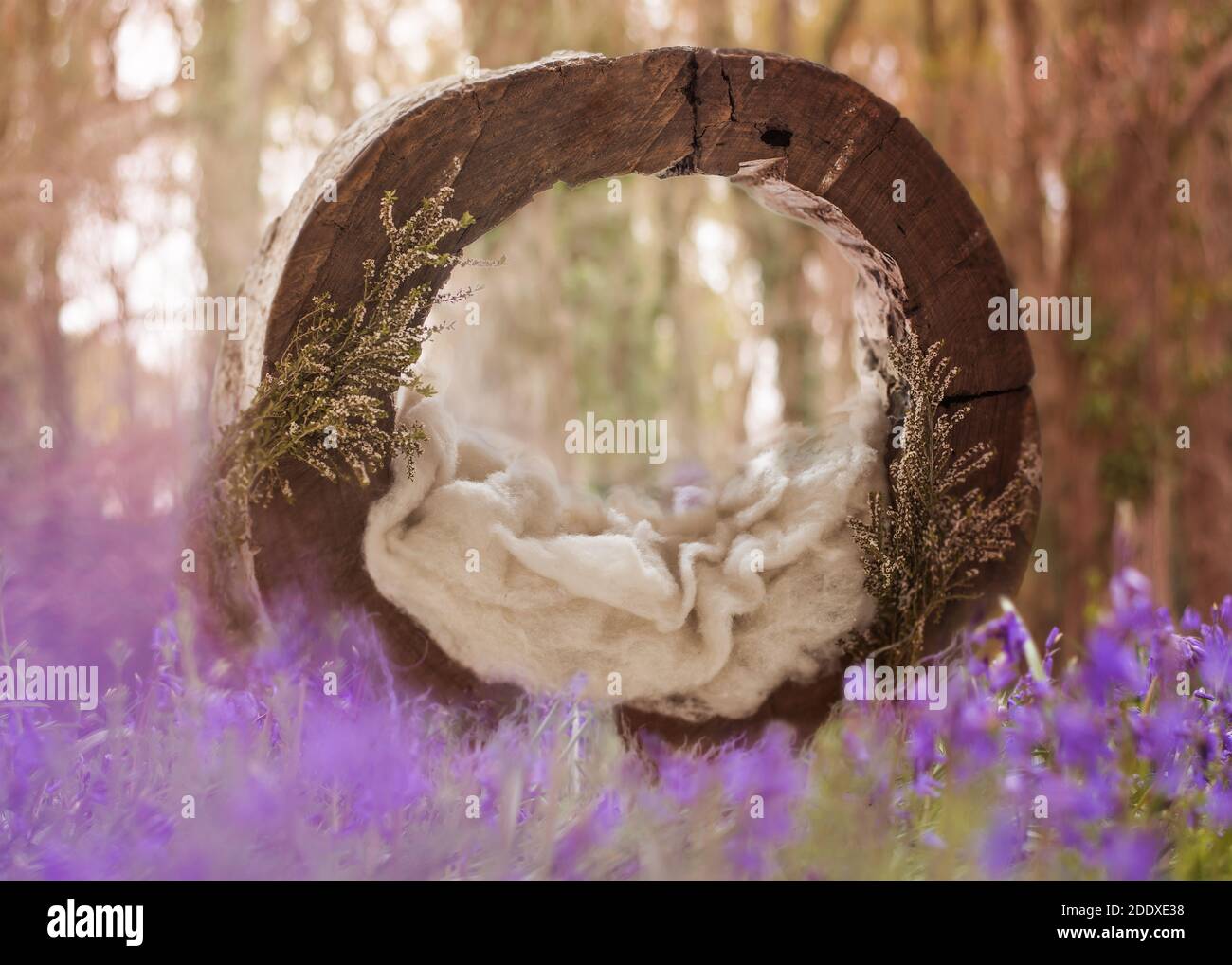 Newborn digital background with flowers Stock Photo - Alamy