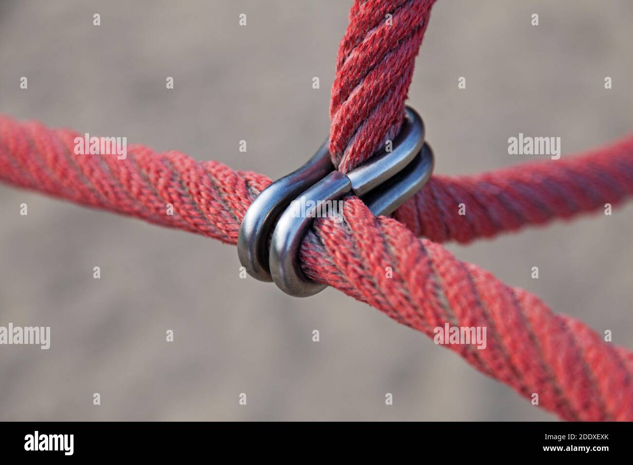 two red thick ropes are attached with metal ring Stock Photo - Alamy