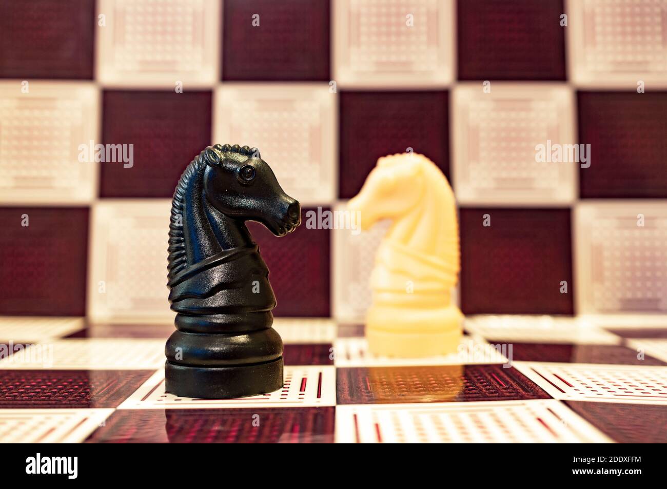 A selective focus closeup of black and yellow knight chess pieces on a ...