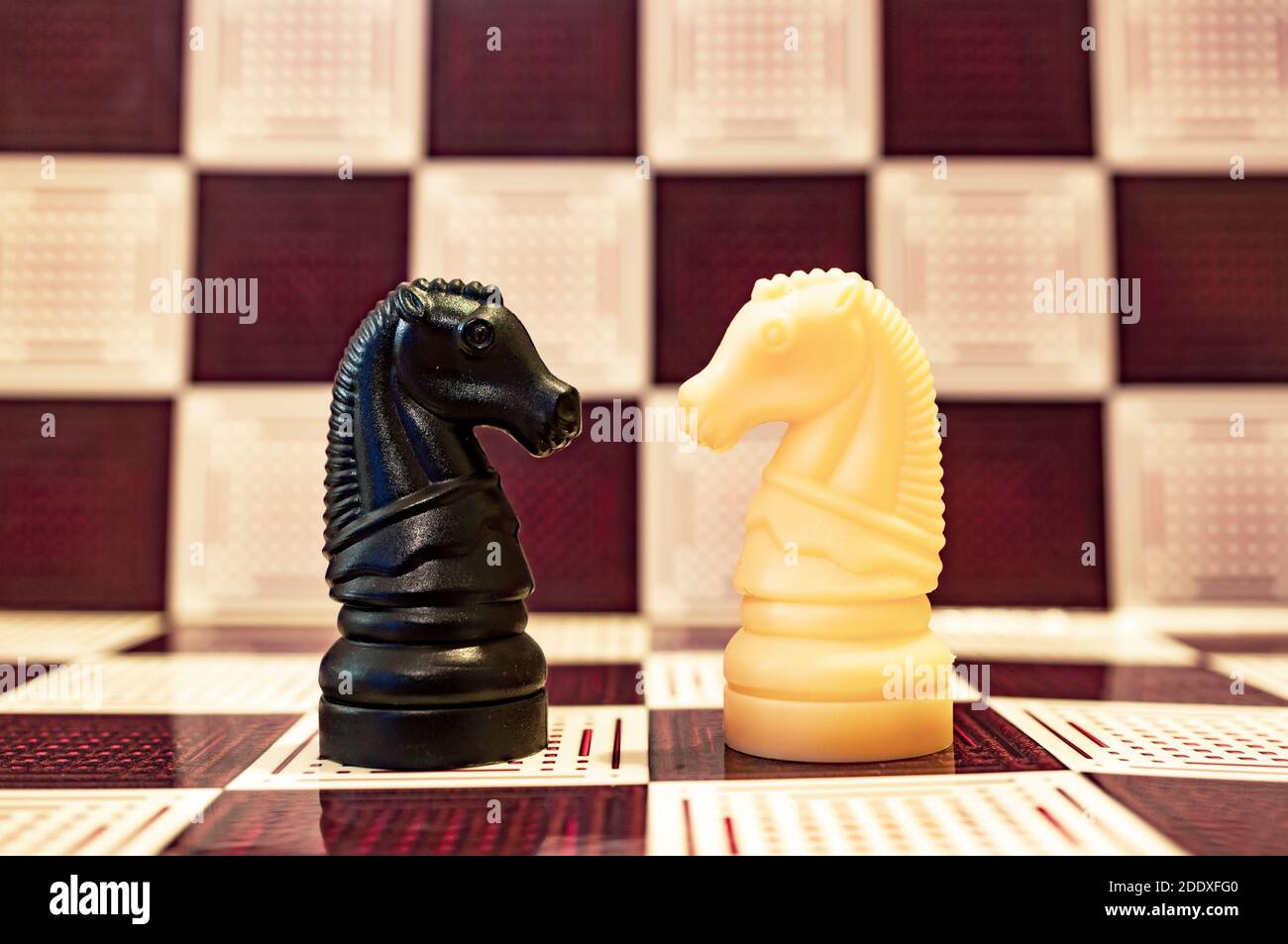 A selective focus closeup of black and white knight chess pieces on a ...