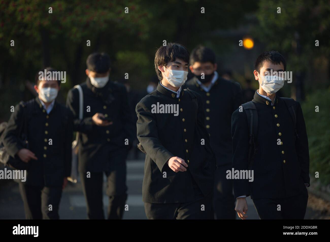 Tokyo, Japan. 26th Nov, 2020. Japanese elementary school students ...
