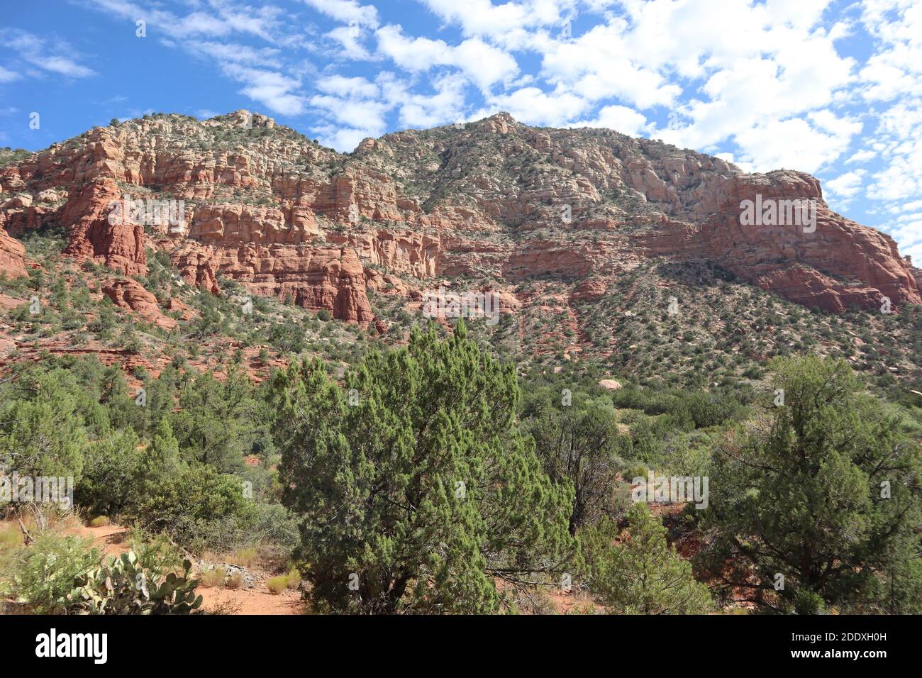 A view of red rock with desert landscape and blue sky with puffy white ...