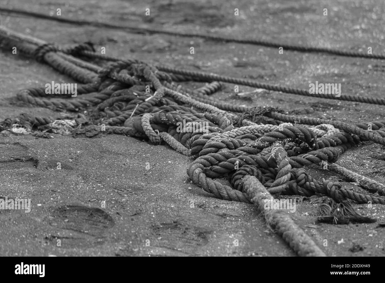 A bunch of discarded ropes in a giant knot Stock Photo - Alamy