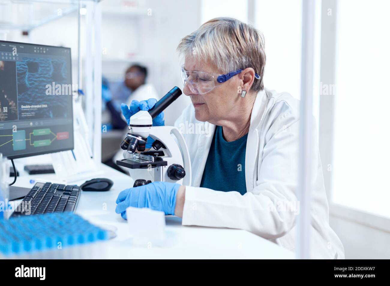 Senior scientist conducting scientific experiment with microscope ...