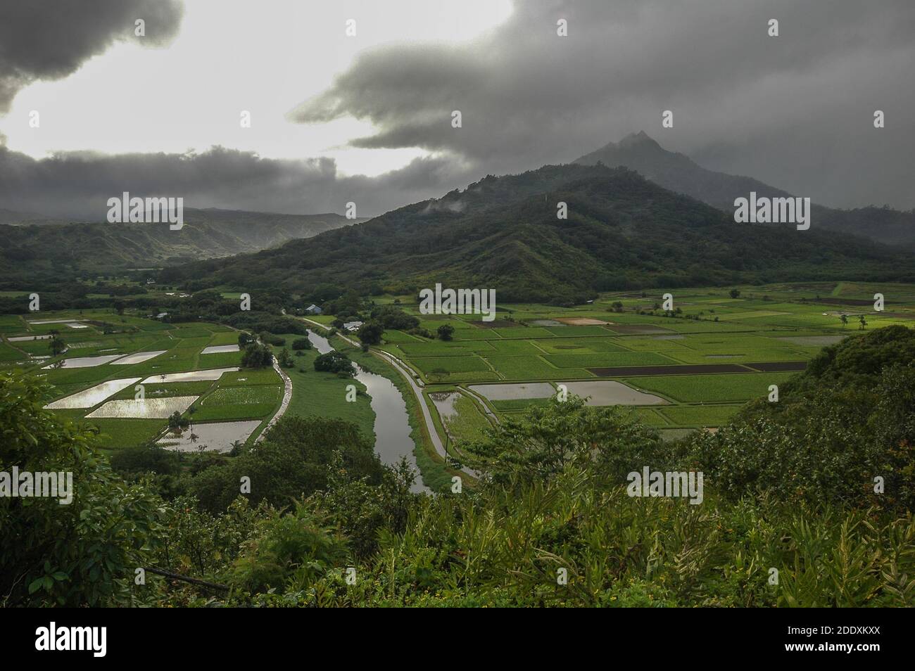Fields in the valley floor hi-res stock photography and images - Alamy