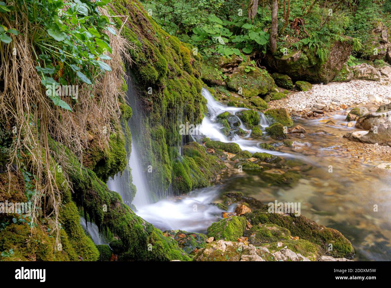 Ecology and nature. The source of clean drinking spring water among ...