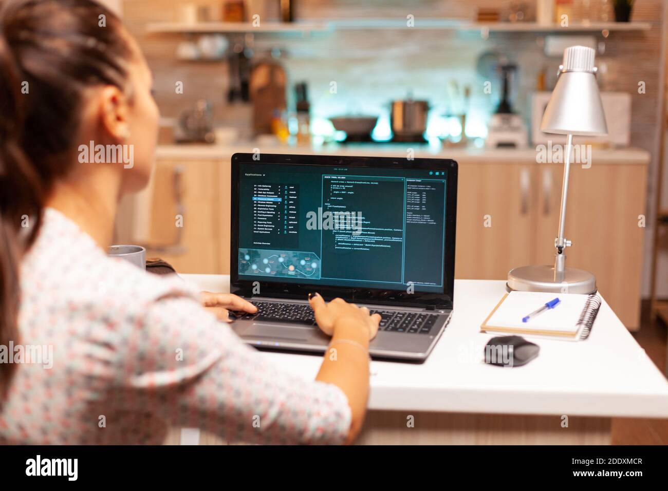 Thief computer woman hi-res stock photography and images - Alamy