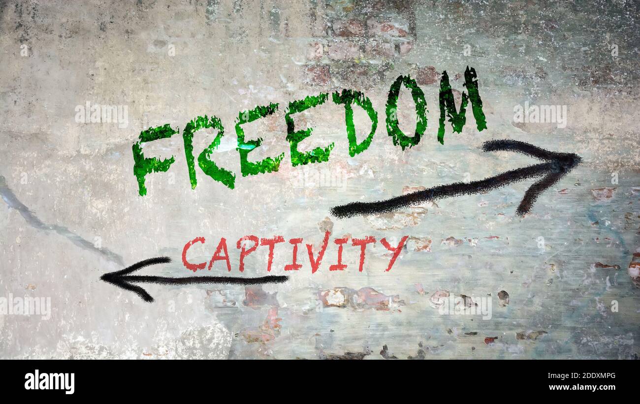 Prison versus freedom hi-res stock photography and images - Alamy