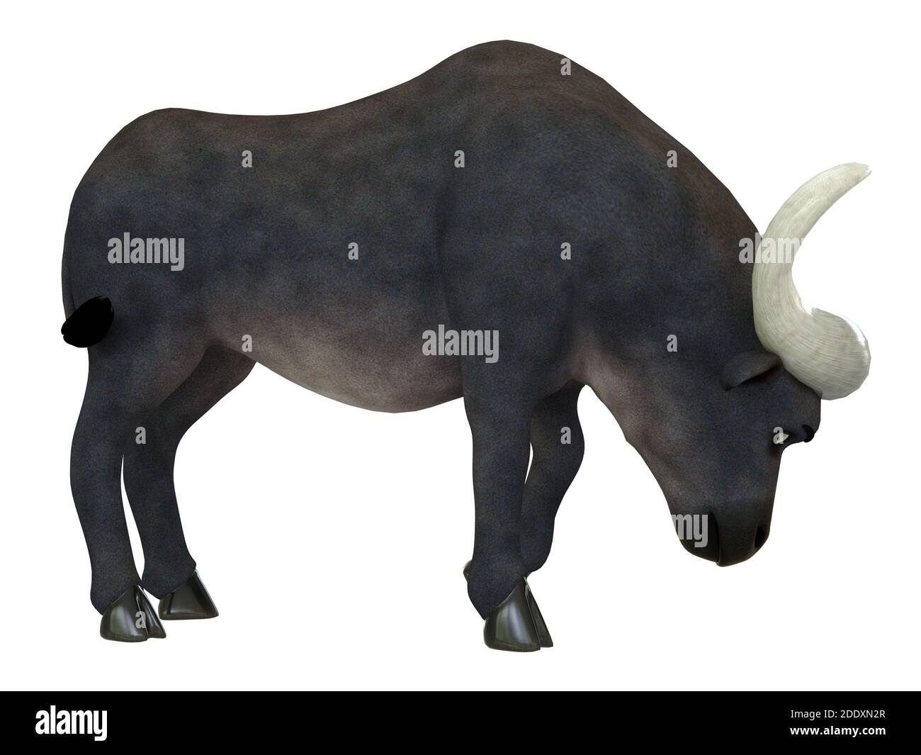 3D illustration cartoon bull isolated on white background Stock Photo ...