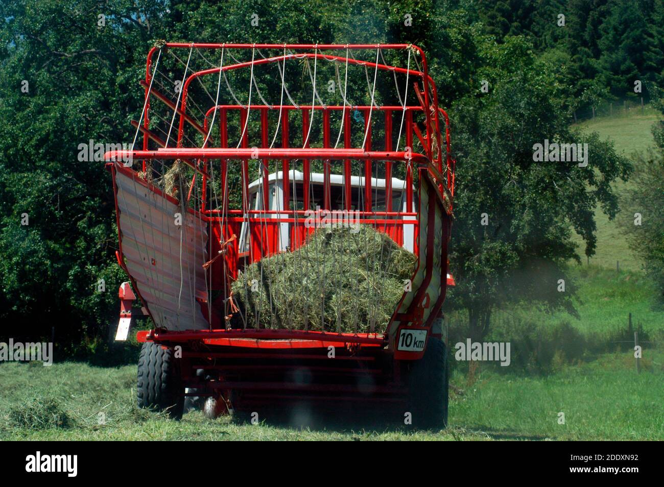 red tractor with trailer loaded with hay on the field Stock Photo - Alamy