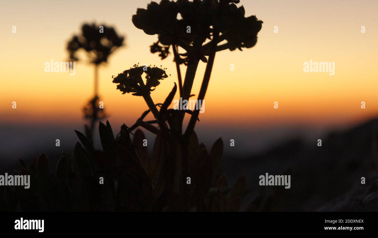 Athens, Greece November 28th sunset in the beach Stock Photo - Alamy