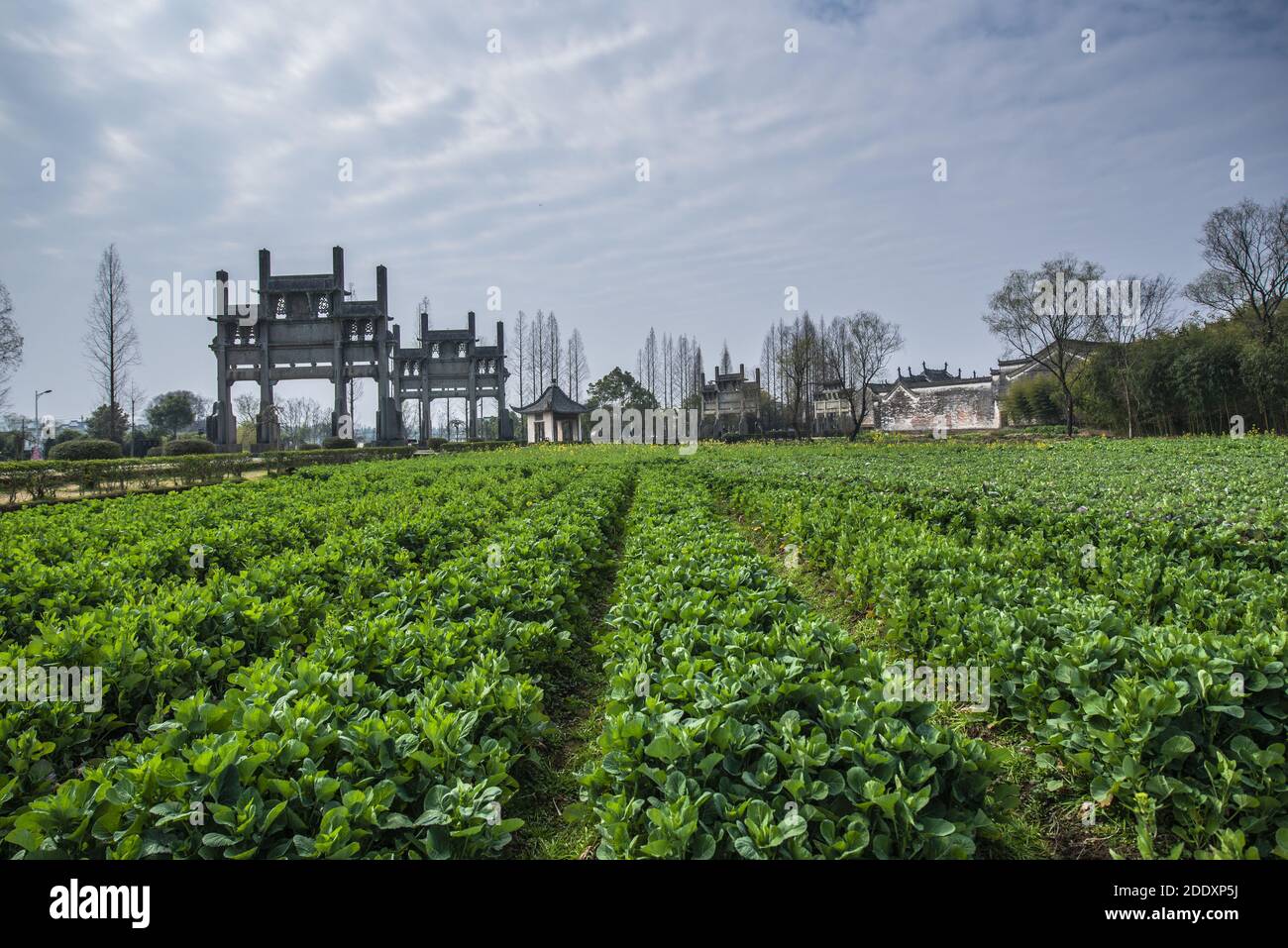 Anhui scenery hi-res stock photography and images - Alamy