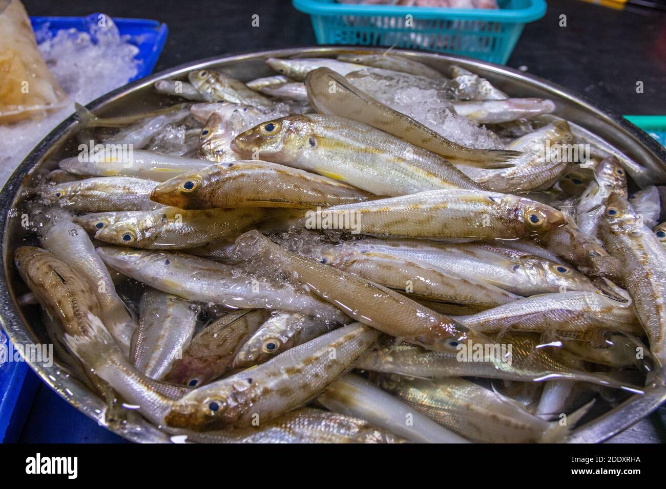 Thai seafood Naklua Thailand Asia Stock Photo - Alamy
