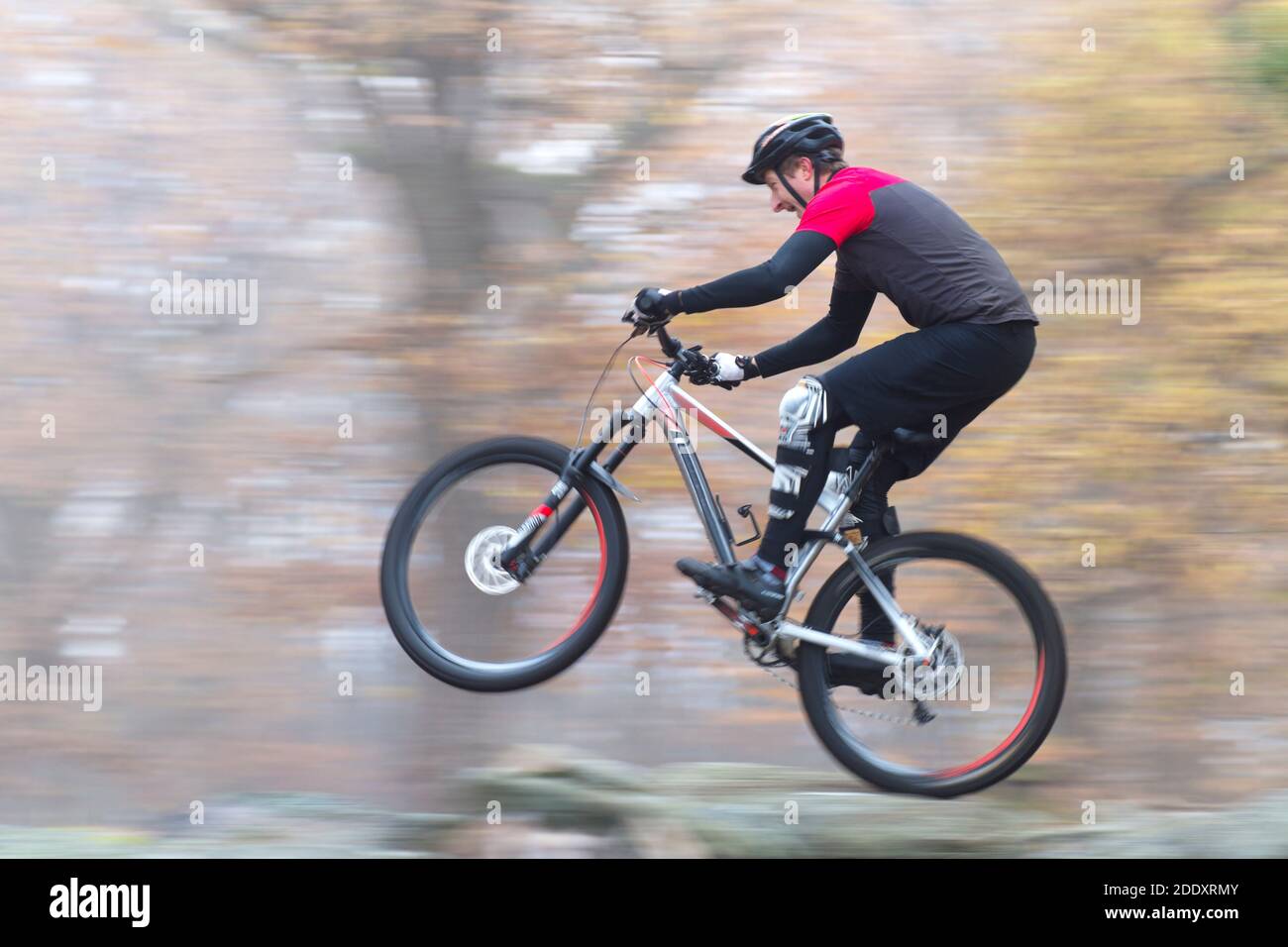 Man cycling fast with mountainbike in a forest in fall - motion blurred ...
