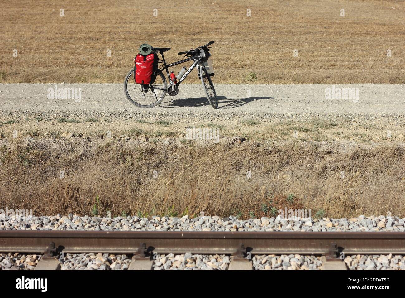 Oxygen cycle hi-res stock photography and images - Alamy