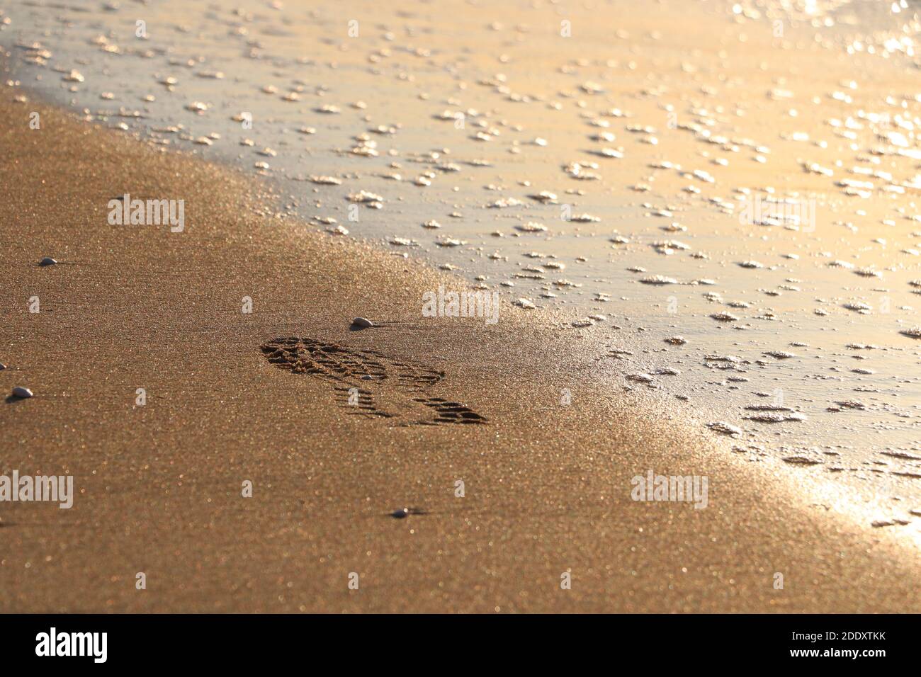 A single footprint on sparkling sand. A time to think on quiet beaches ...