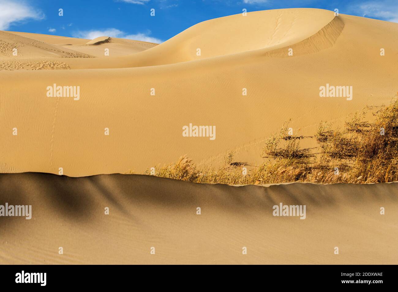 China drought river hi-res stock photography and images - Alamy