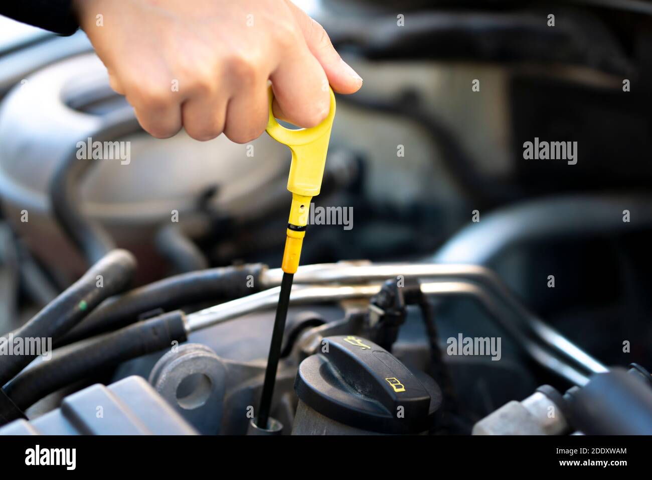 Car engine oil hi-res stock photography and images - Alamy
