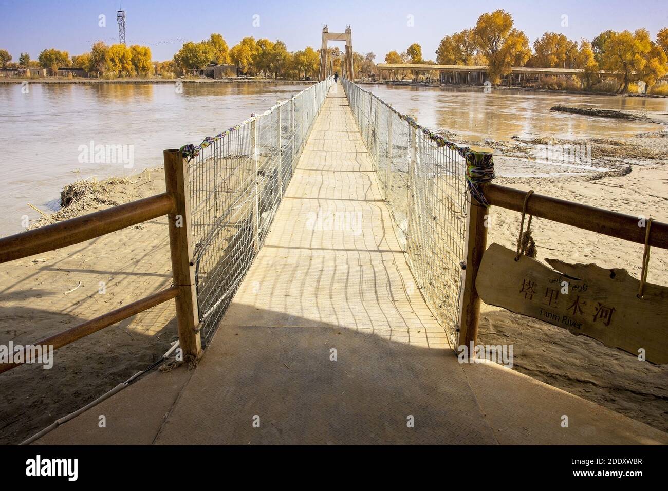 Xinjiang woods and woods hi-res stock photography and images - Alamy