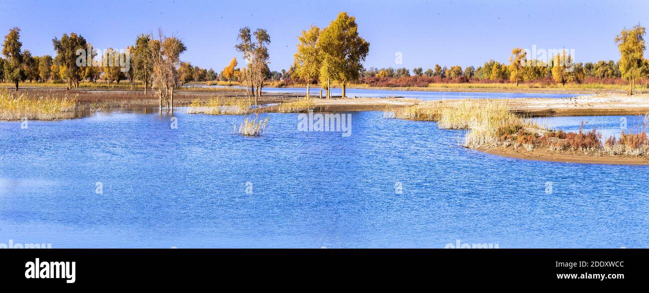 Tarim lake hi-res stock photography and images - Alamy