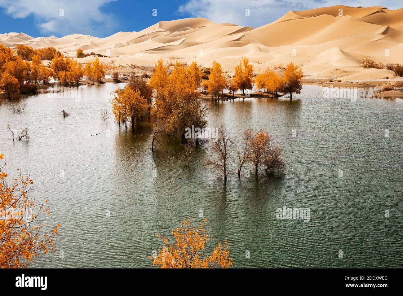 The taklamakan in iminqak Luo Bo lake in xinjiang Stock Photo - Alamy