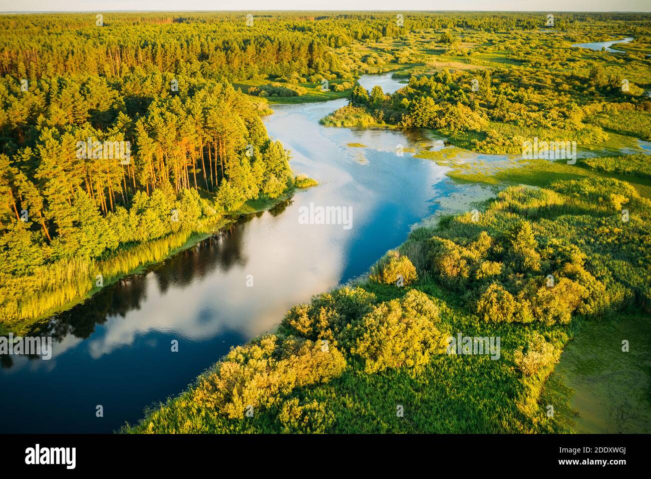 Aerial Elevated View Of Green Forest Growth On River Coast Landscape In ...