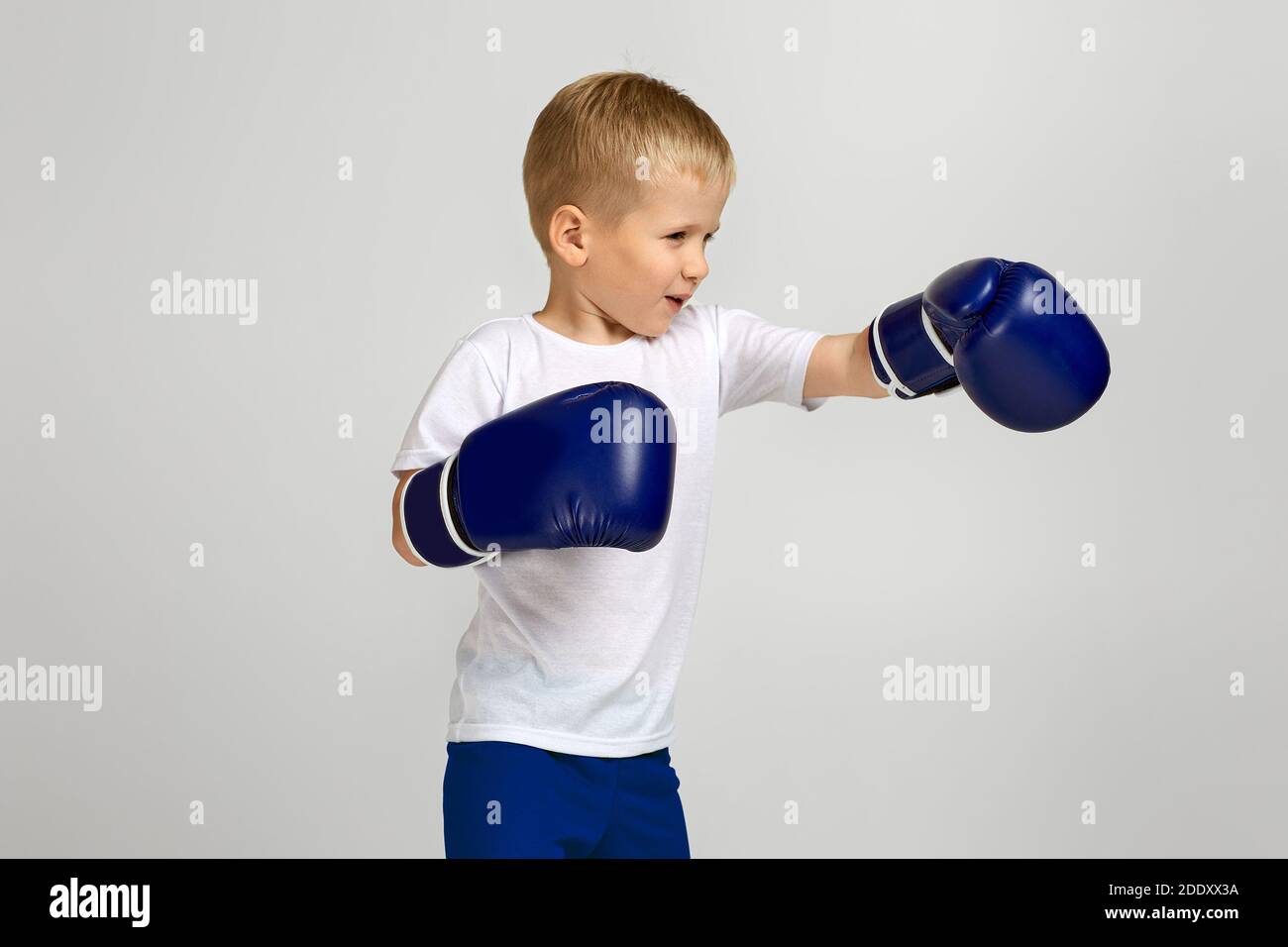 little boxing fighter boy in blue boxer gloves Stock Photo - Alamy
