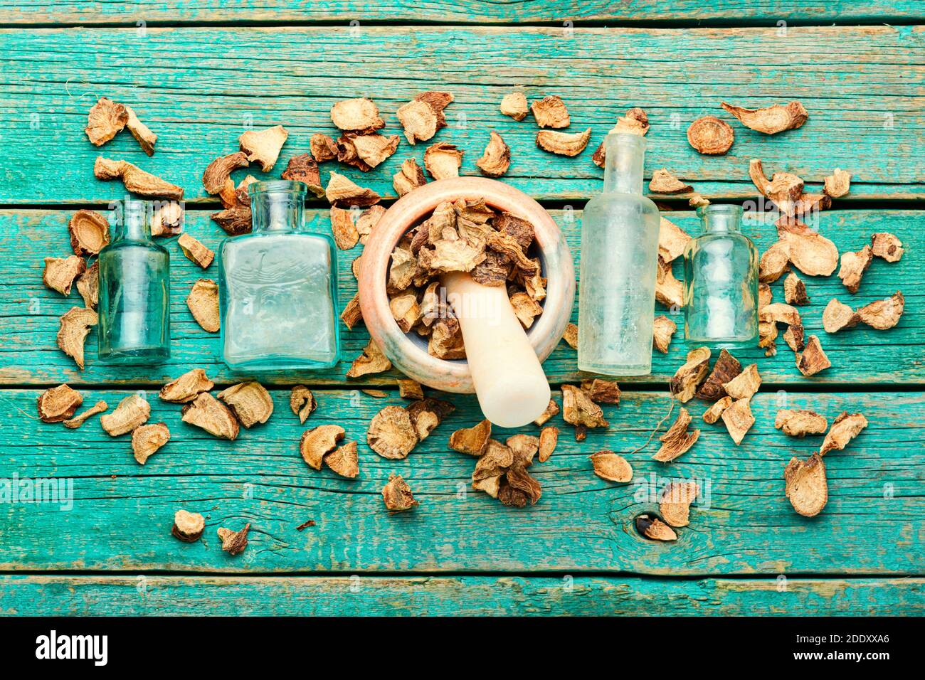 Medicinal root of elecampane in herbal medicine.Inula helenium.Medical ...