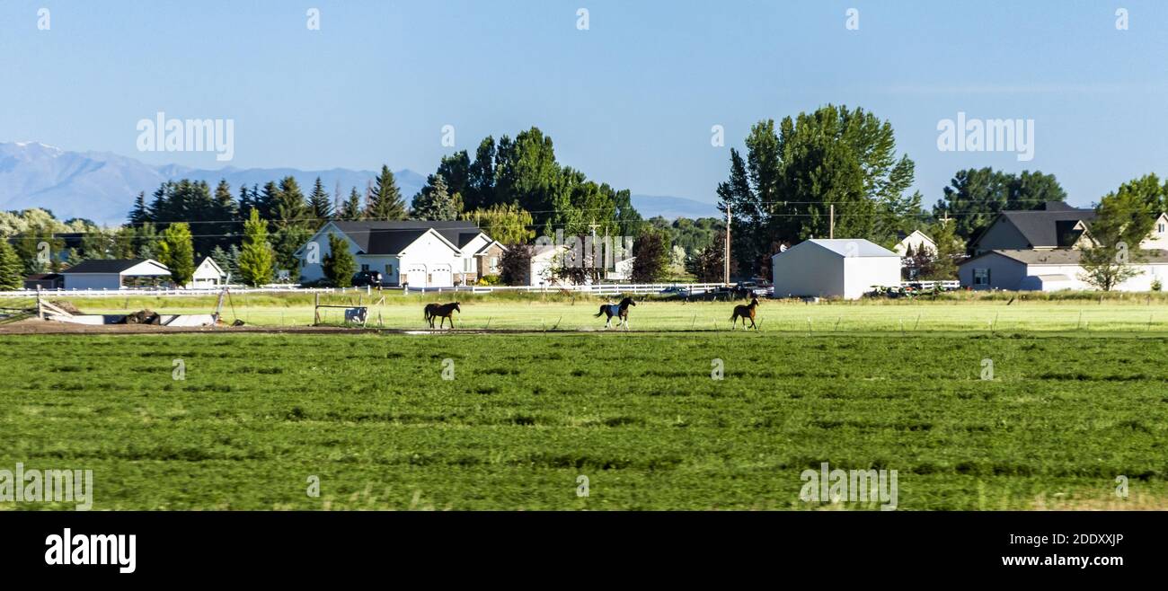 The American scene Stock Photo - Alamy