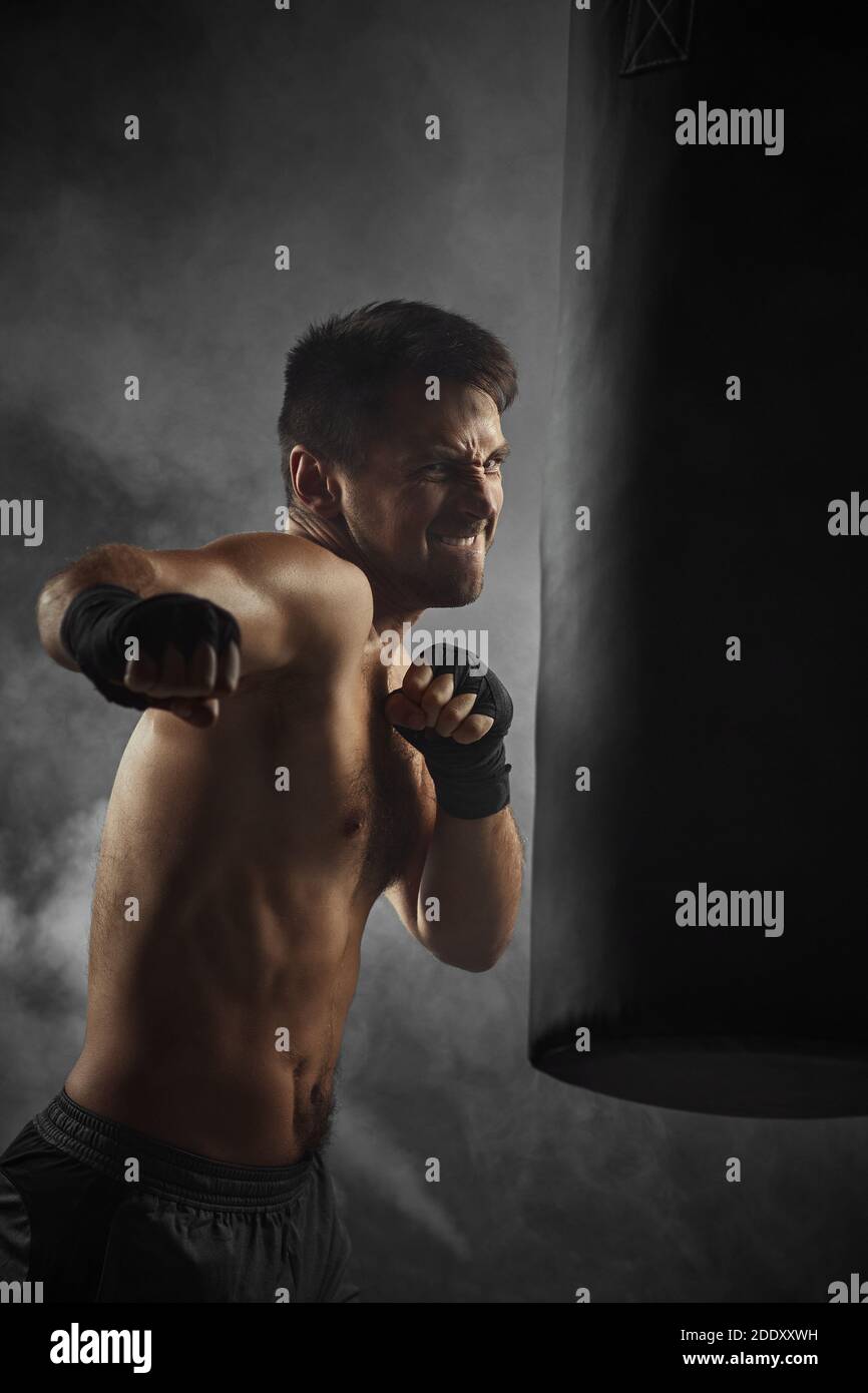 Why Is My Boxer Aggressive