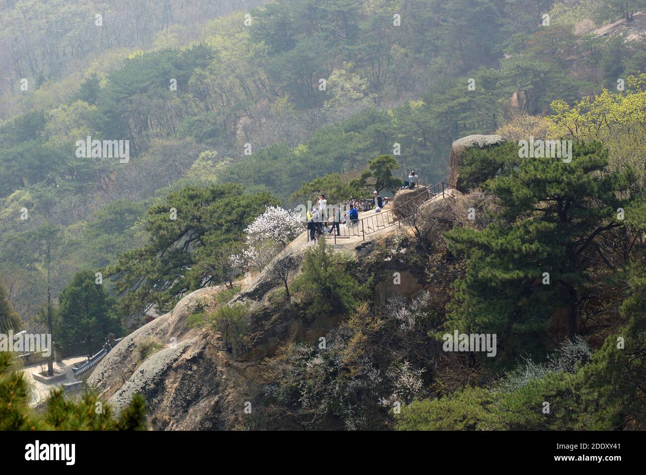 People walking up the mountine to admire cherry blossoms. Qianshan ...