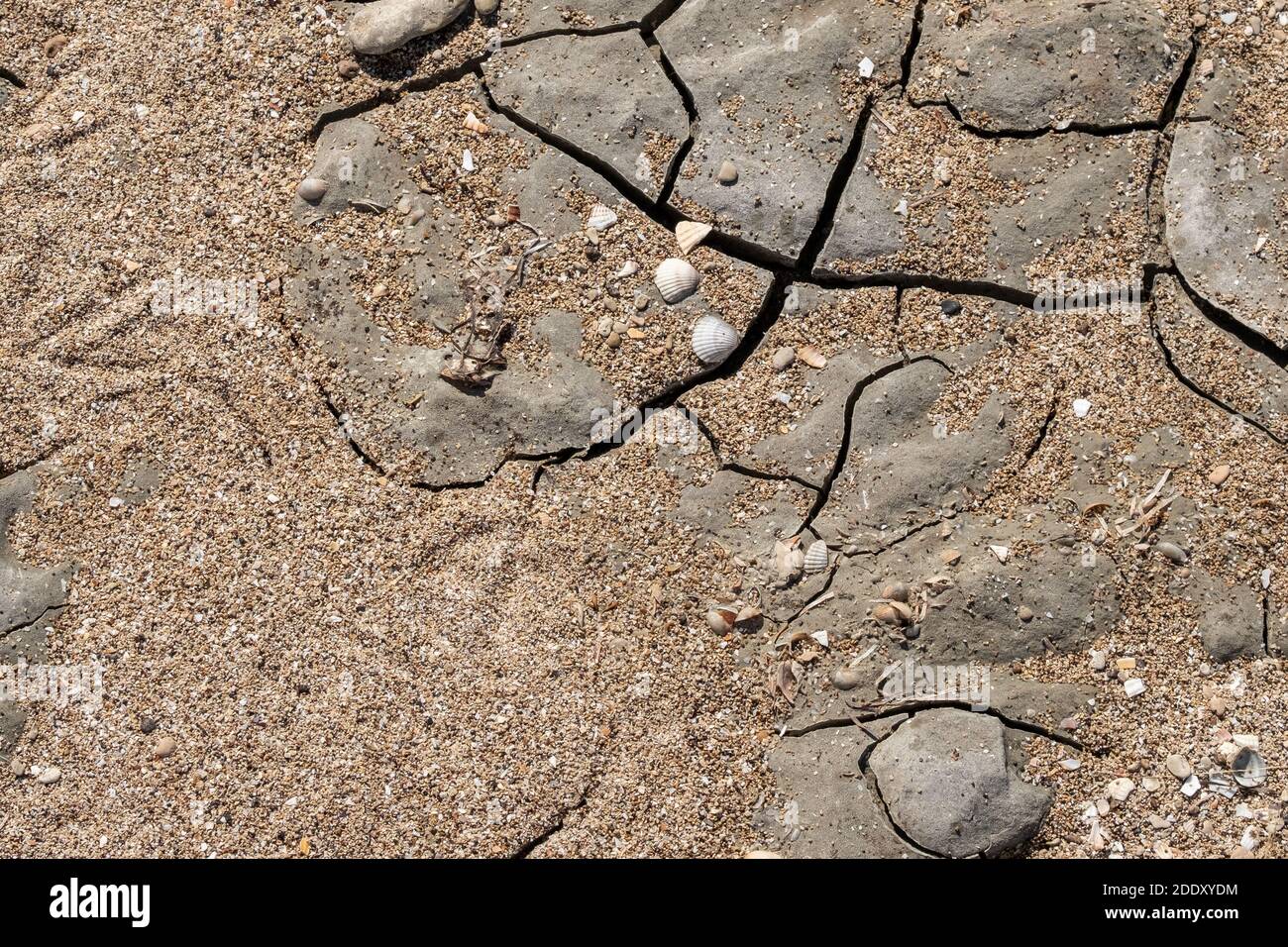 Mud crack fossil hi-res stock photography and images - Alamy