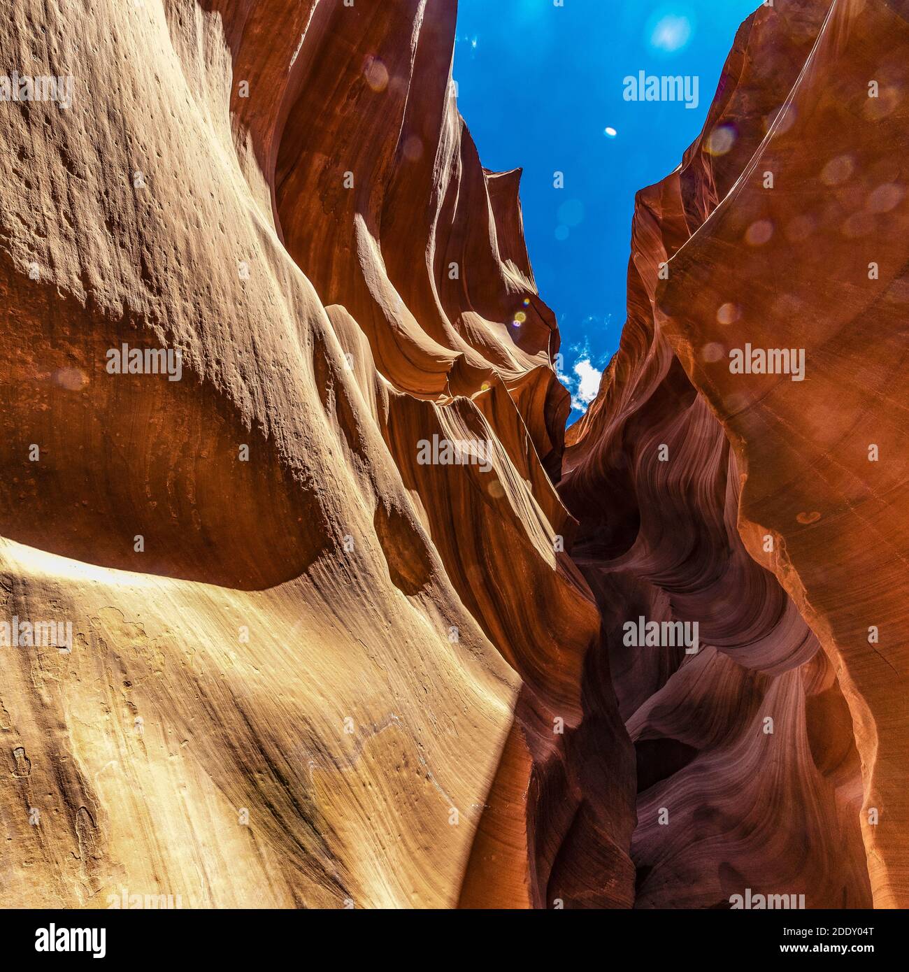 The American scene Stock Photo - Alamy