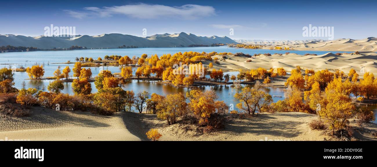 The scenery in xinjiang Stock Photo - Alamy