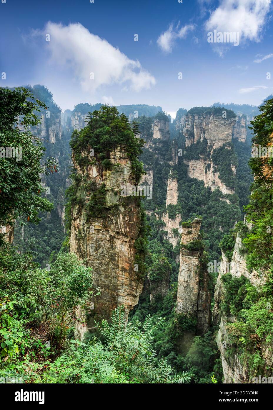 Hunan landscape hi-res stock photography and images - Alamy
