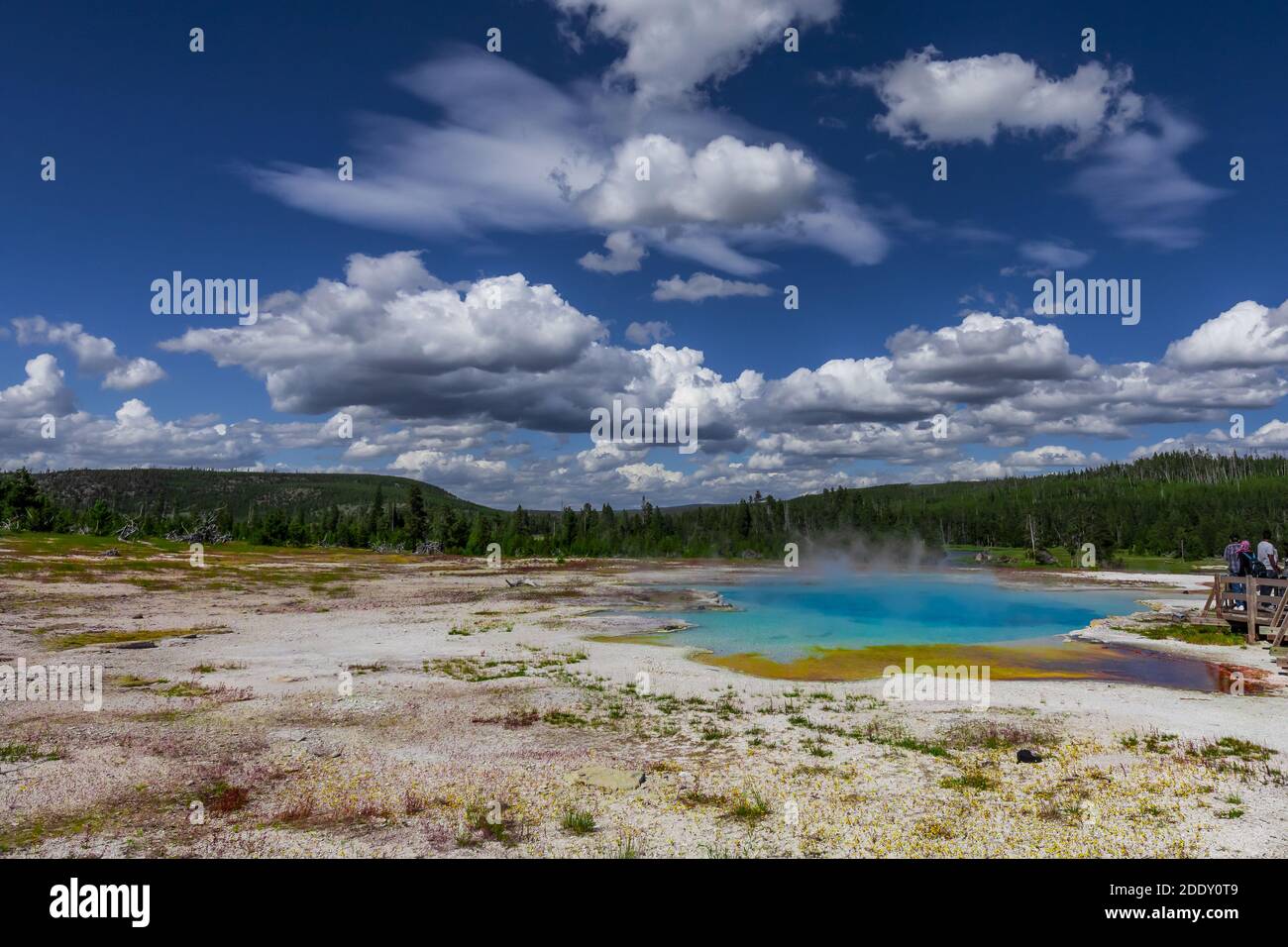 The American scene Stock Photo - Alamy