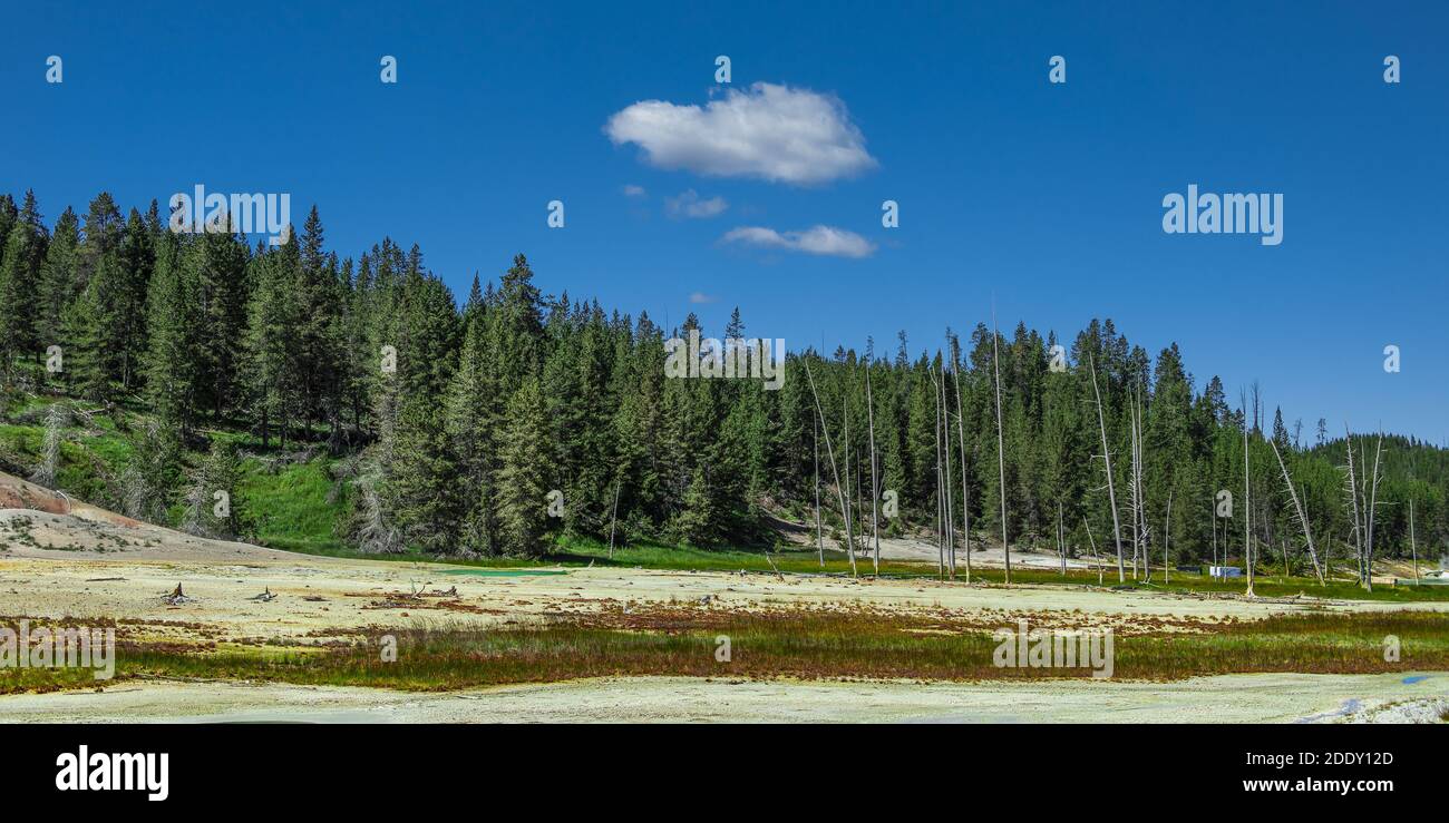 The American scene Stock Photo - Alamy