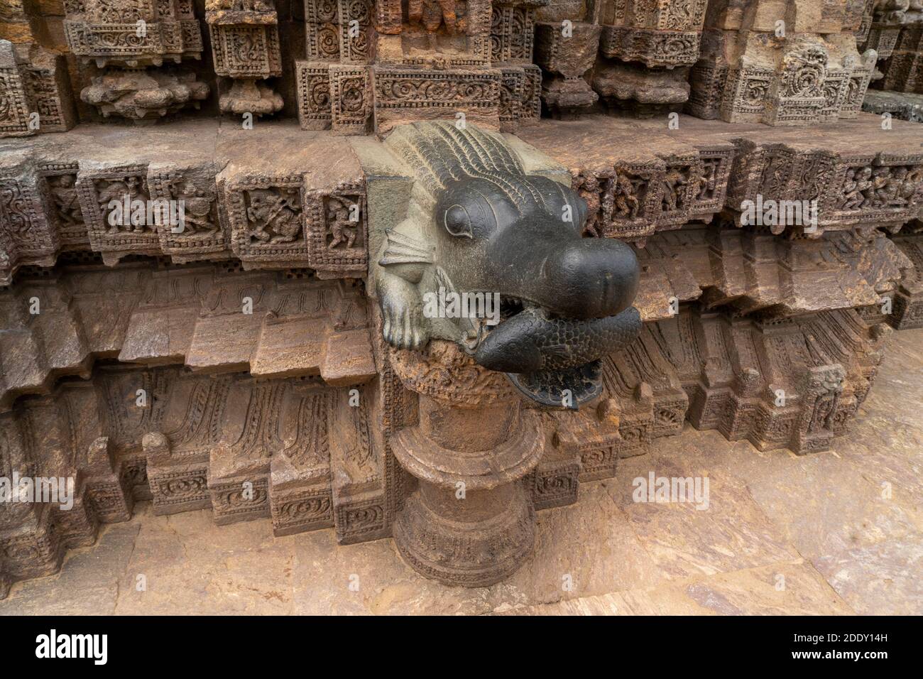 Konark ,9,April ,2014,Top view of black granite gargoyle carved as ...