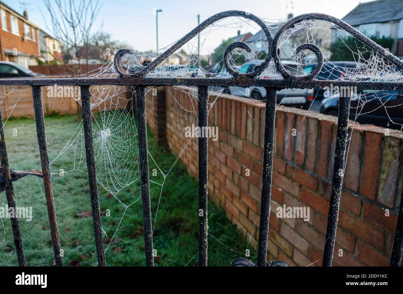 Spider web gate hi-res stock photography and images - Alamy