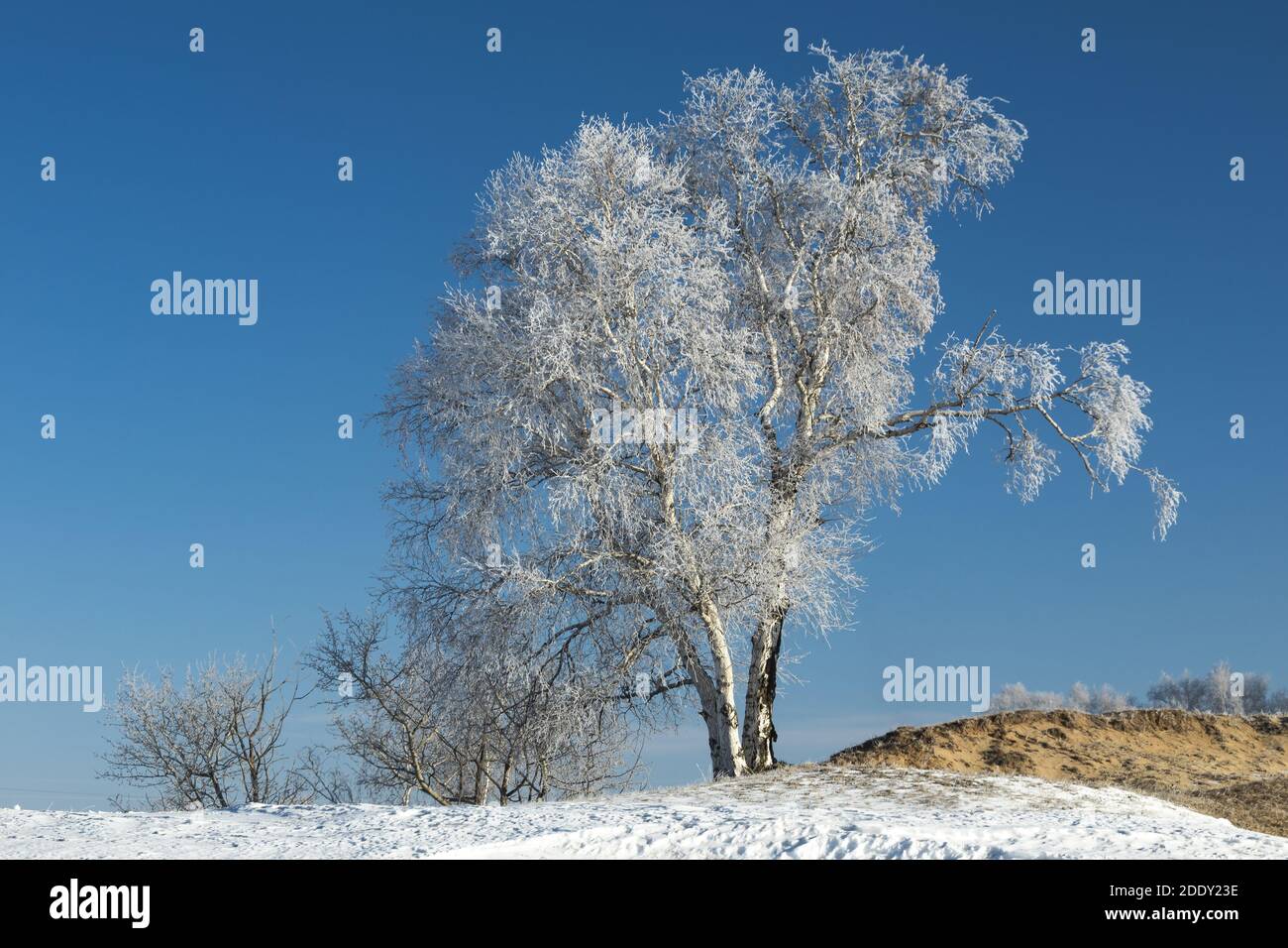 Snow mountain in mongolia hi-res stock photography and images - Alamy