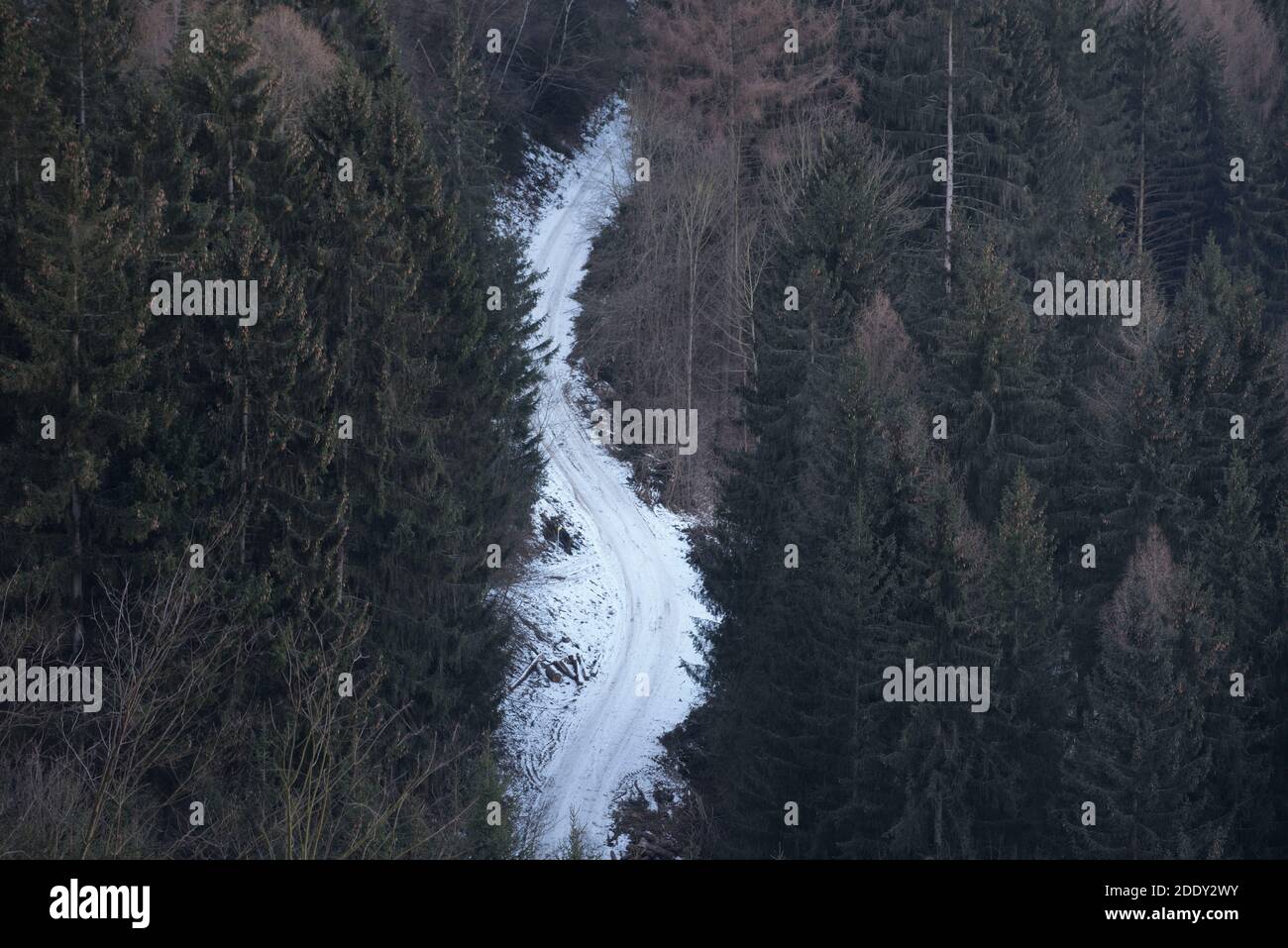 vehicle tracks on traffic routes in winter, transportation and mobility ...