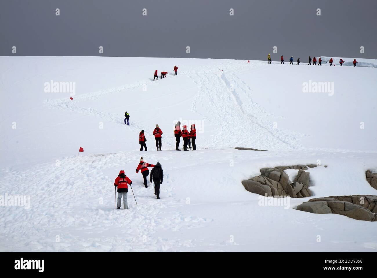 A few small red flags are placed on the thick ice field to guide ...