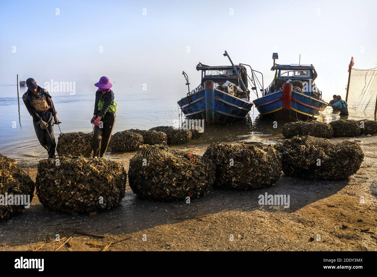 The ancient town of zhenhai hi-res stock photography and images - Alamy