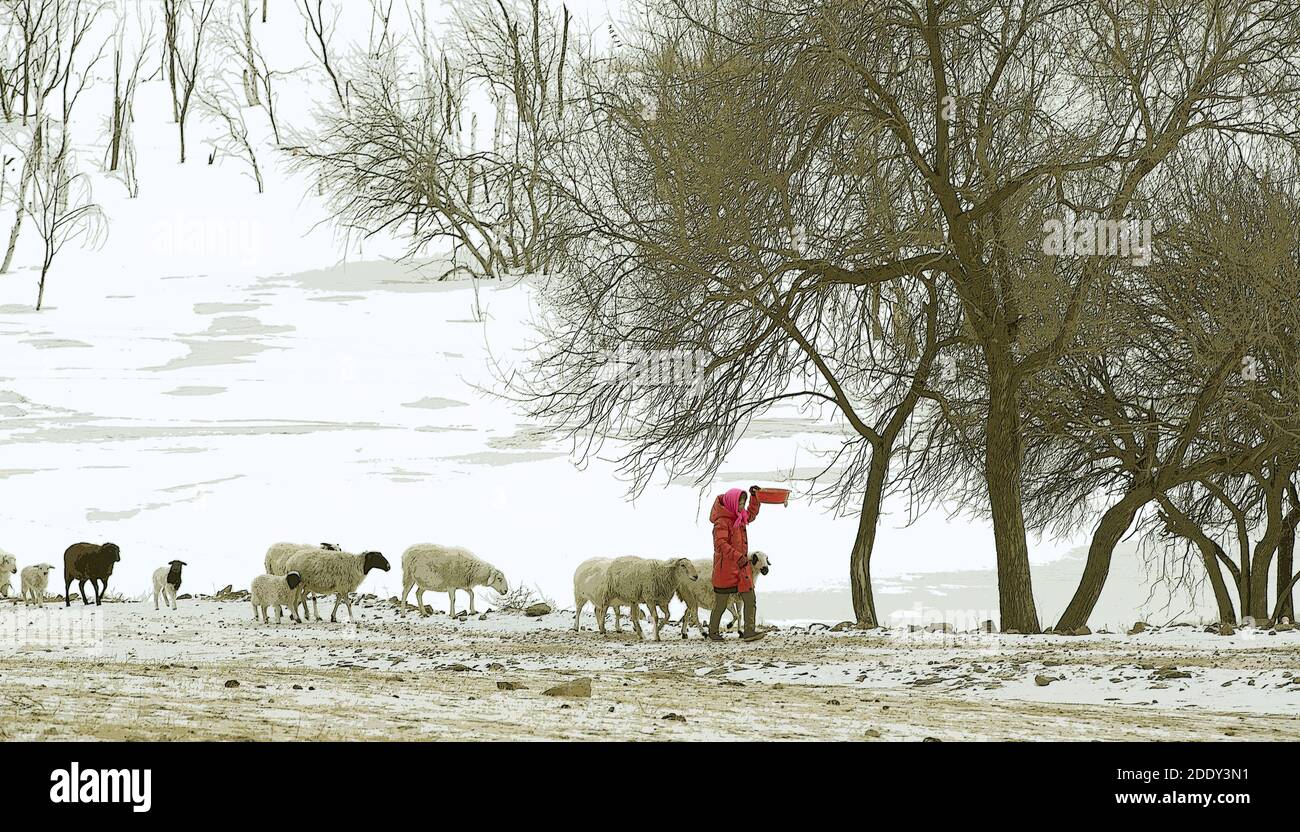 Chinese shepherd painting hi-res stock photography and images - Alamy