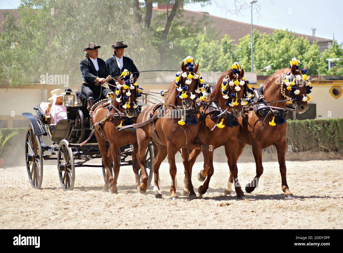 Tandem carriage hi-res stock photography and images - Alamy